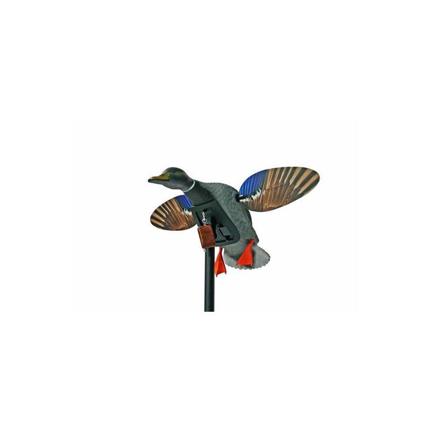 MOJO Mini Mallard Drake with Remote – Sports Center